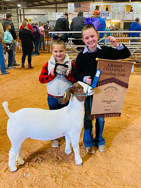 Captain Morgan | Morgan Livestock