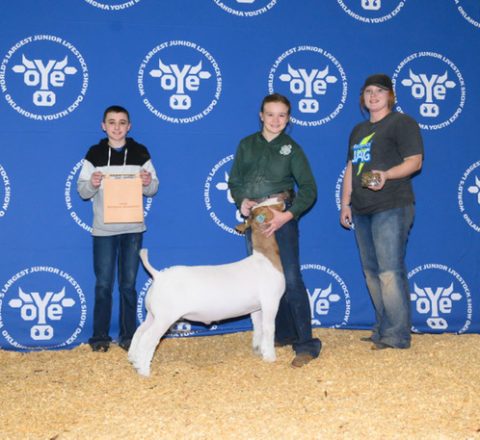 Milo | Morgan Livestock